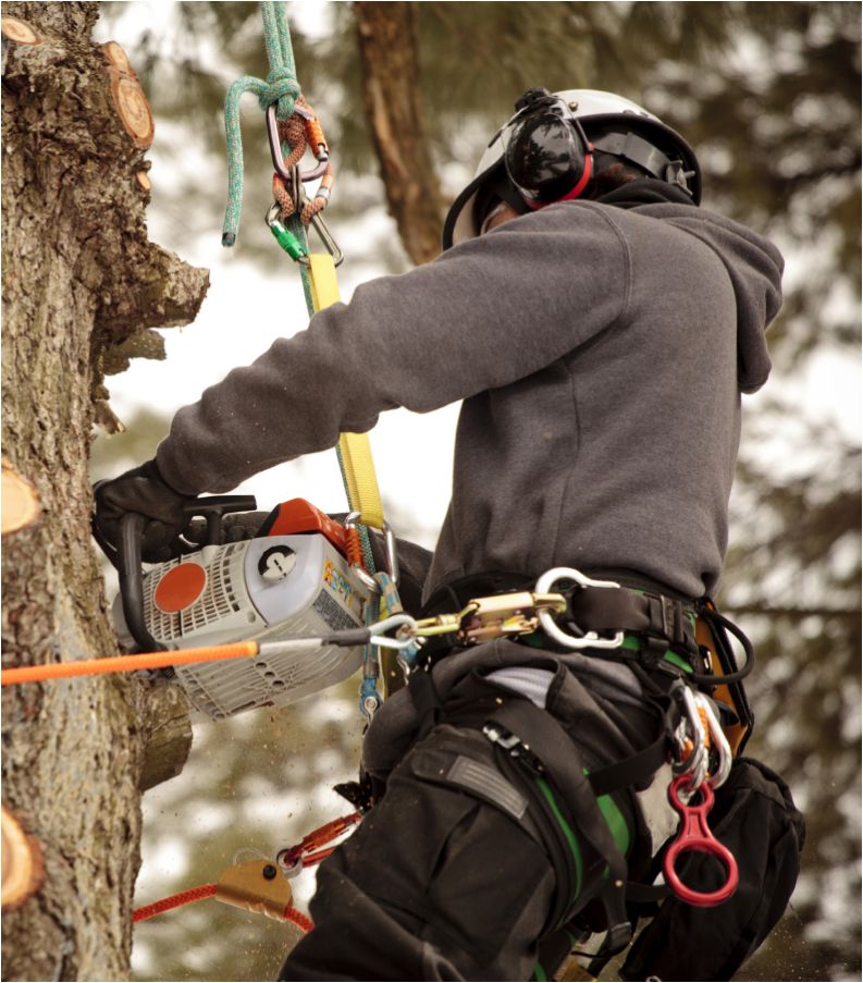 ARBORIST SUPPLIES – Arbor Tech Supply LLC